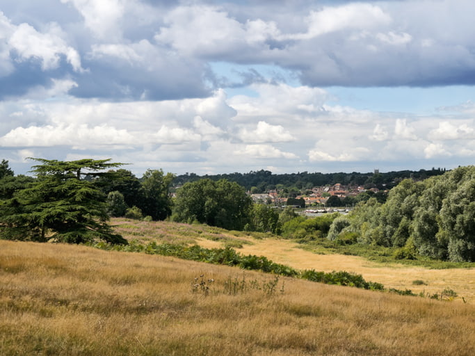 Drug & Alcohol Rehab - Forest Heath | Find Your Nearest